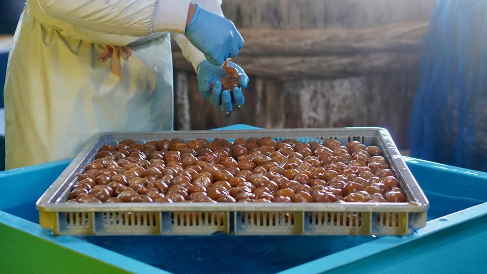 Minabe Tanabe Region, Wakayama Guide: All You Need to Know About Japan ...