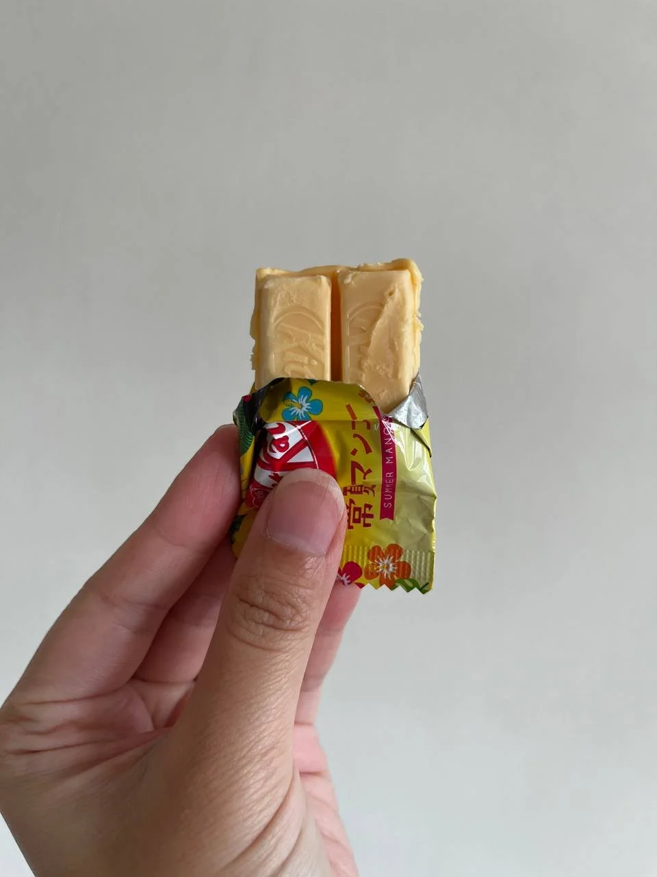 Review: We Tried 18 Exclusive Flavours Of Kit Kat From Japan — NANI ...