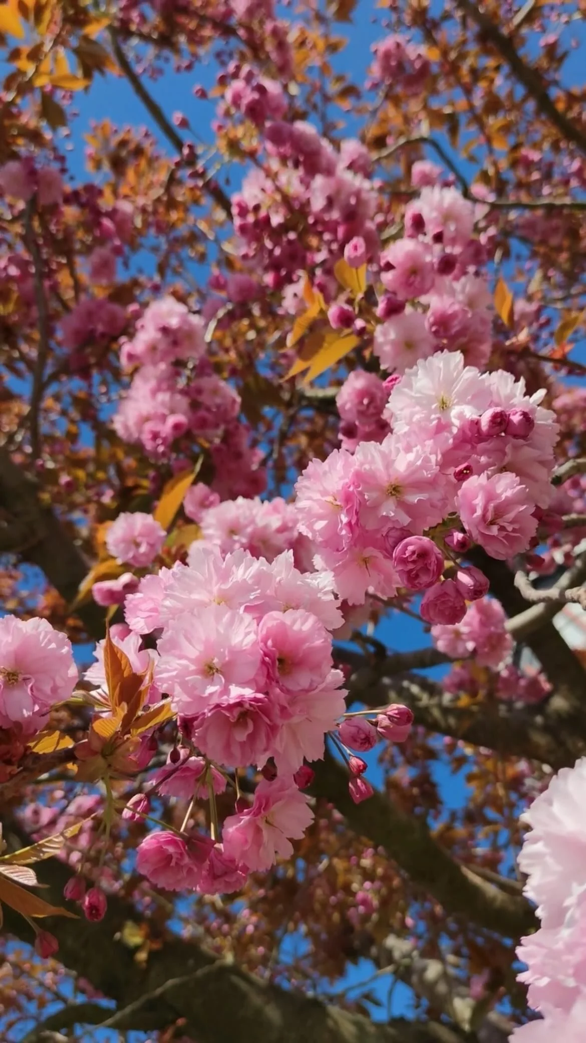 Boutique Tours & Travel | Luxury Tours for Mature Travellers