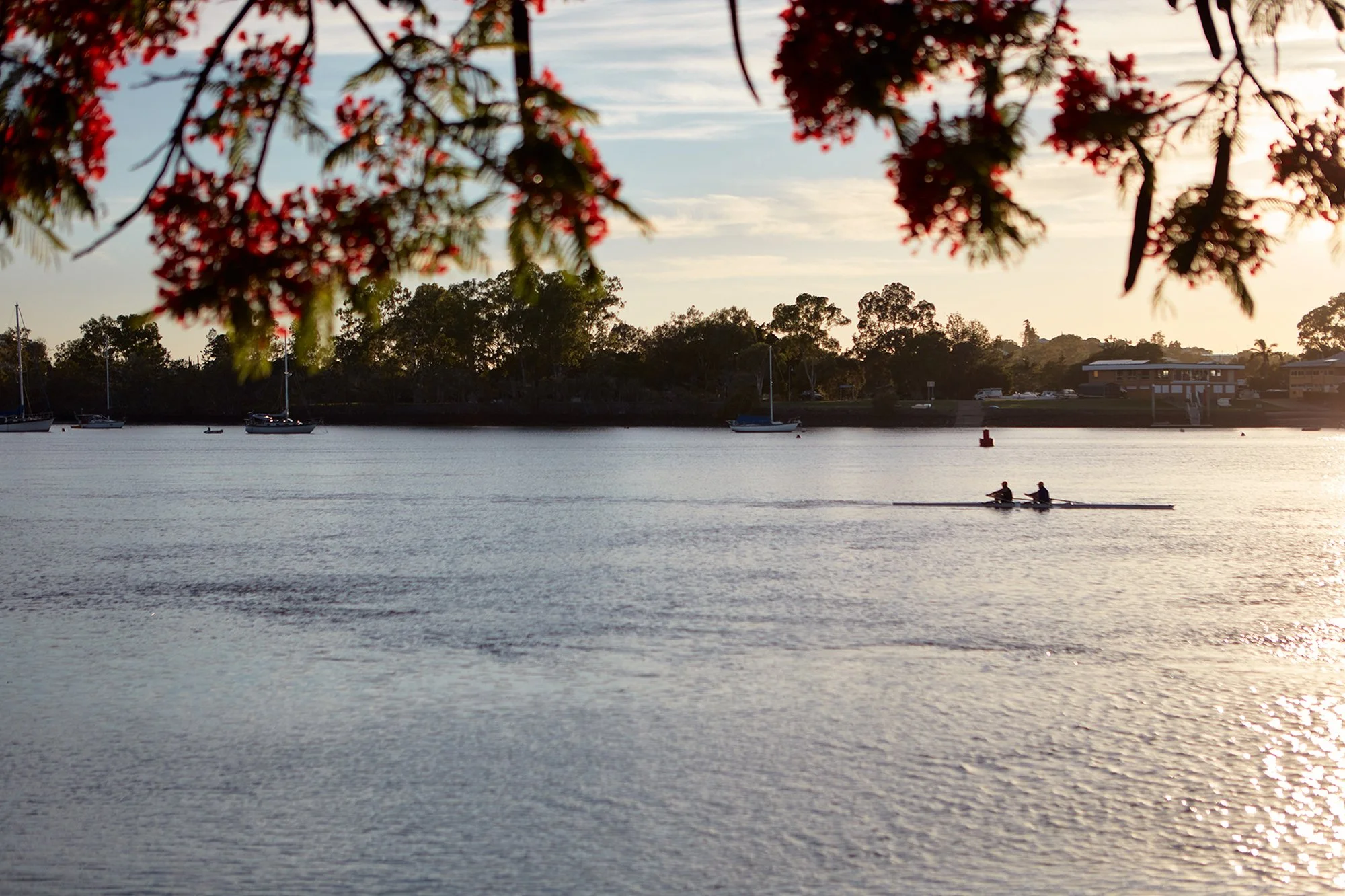 Frank Developments | Home