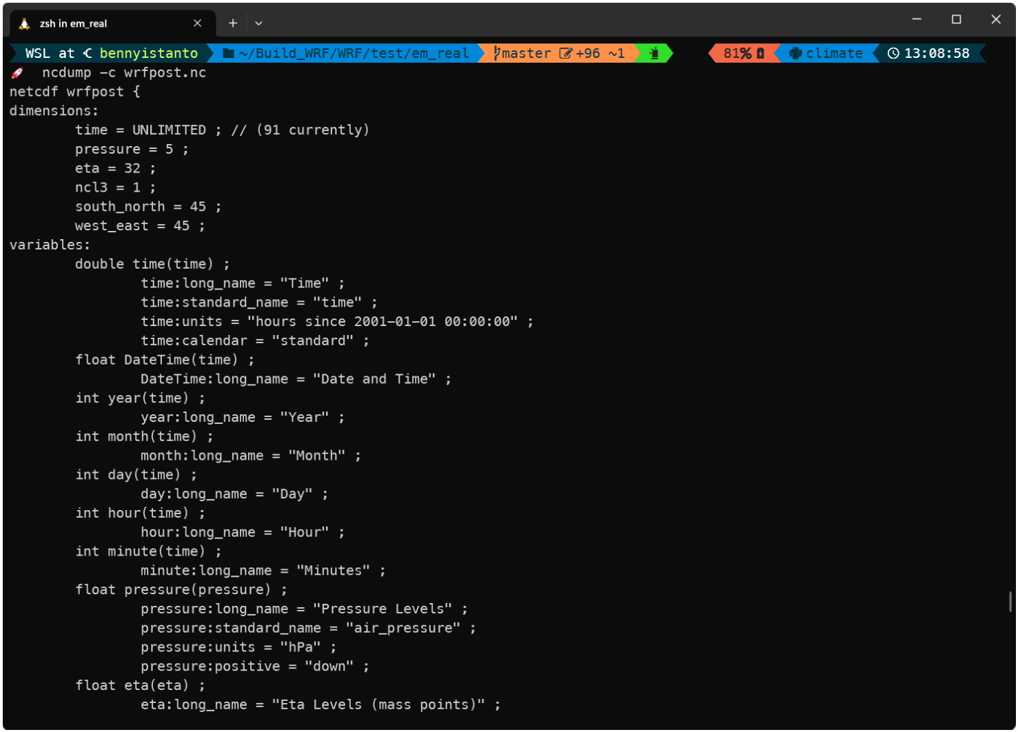 Visualising the WRF output — Hi, I am Benny