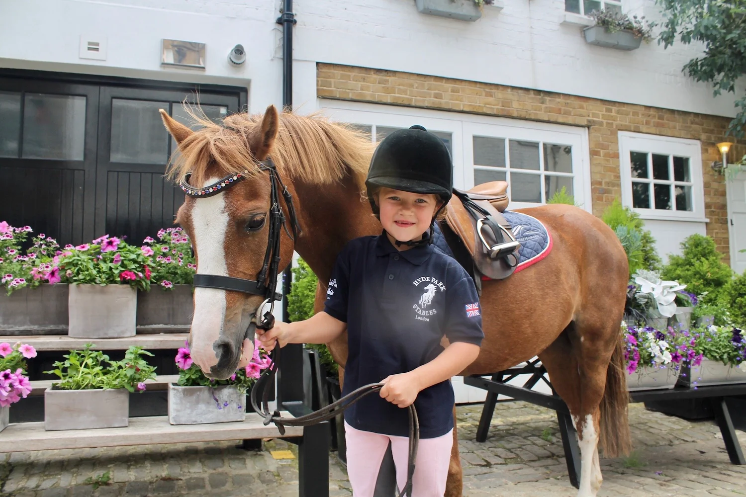 About Us | Horse Riding in Hyde Park, Central London — HYDE PARK STABLES