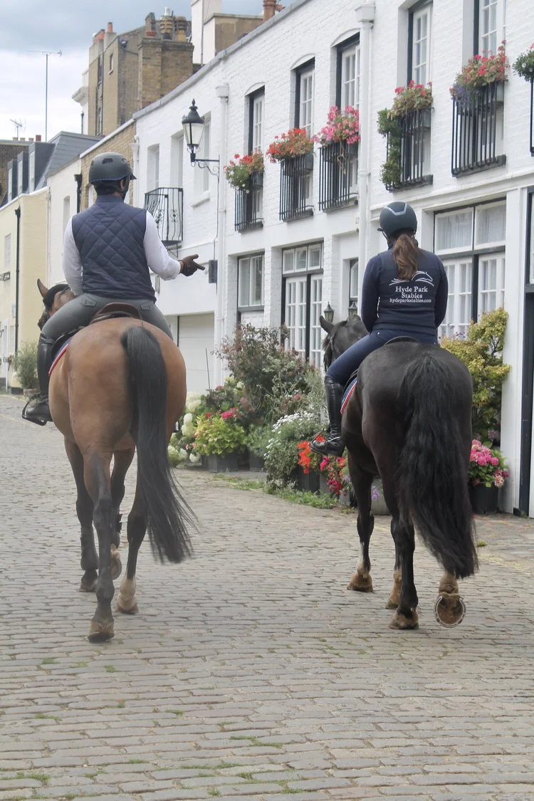 Horse Riding in London Photo Gallery — HYDE PARK STABLES