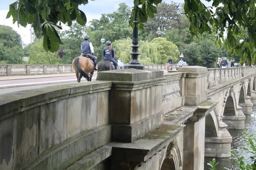 Horse Riding in London Photo Gallery — HYDE PARK STABLES