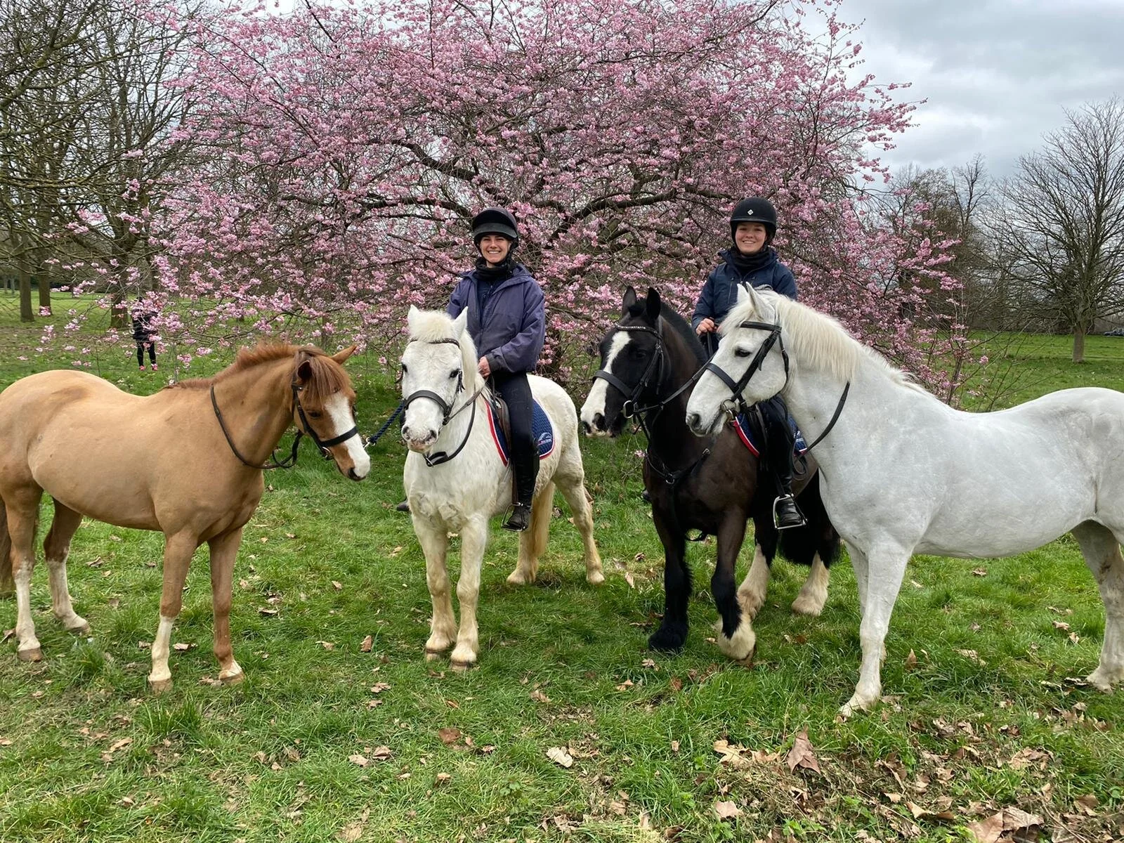 Spring 2021 — HYDE PARK STABLES