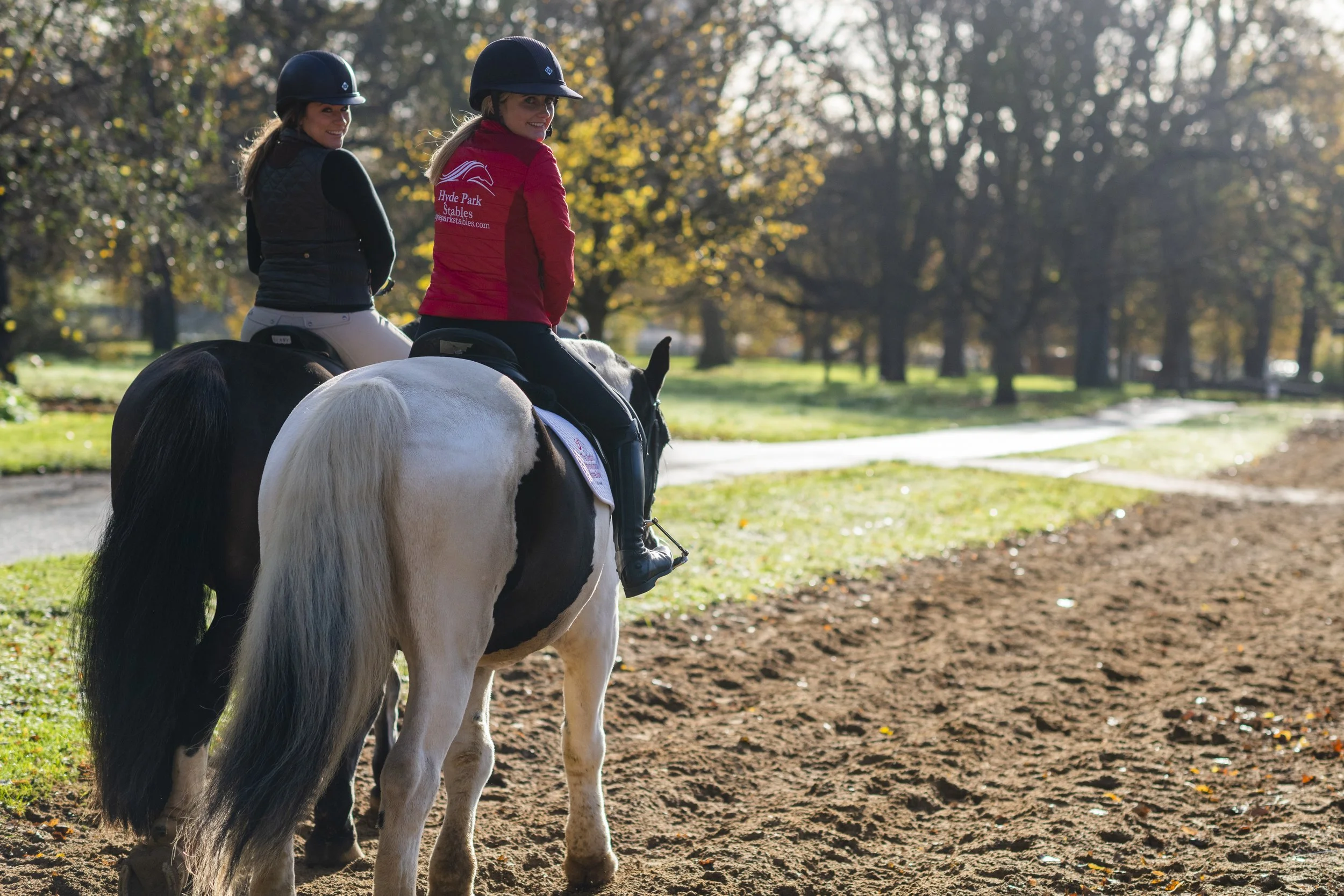 Horse Riding in London Photo Gallery — HYDE PARK STABLES