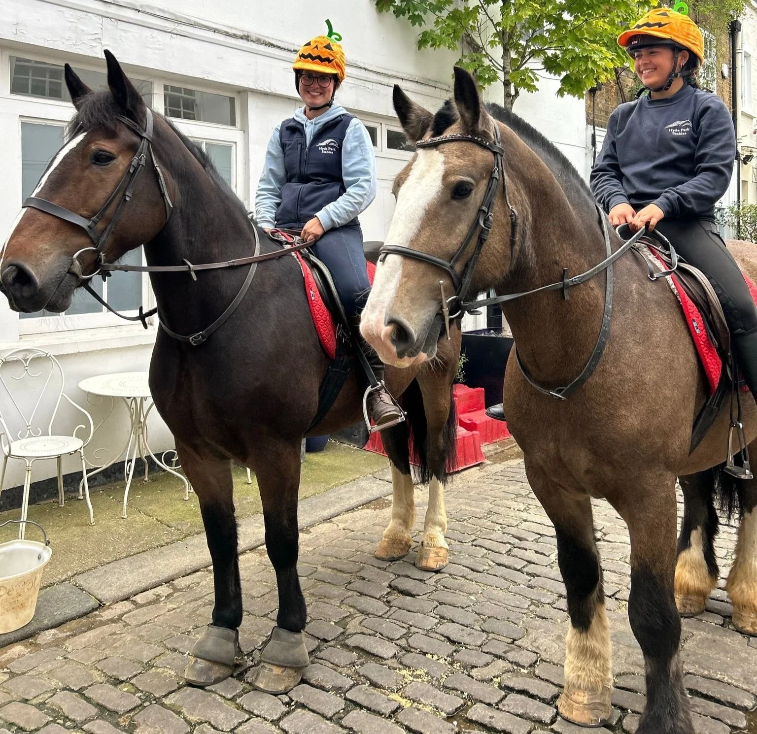 Halloween at Hyde Park Stables — HYDE PARK STABLES