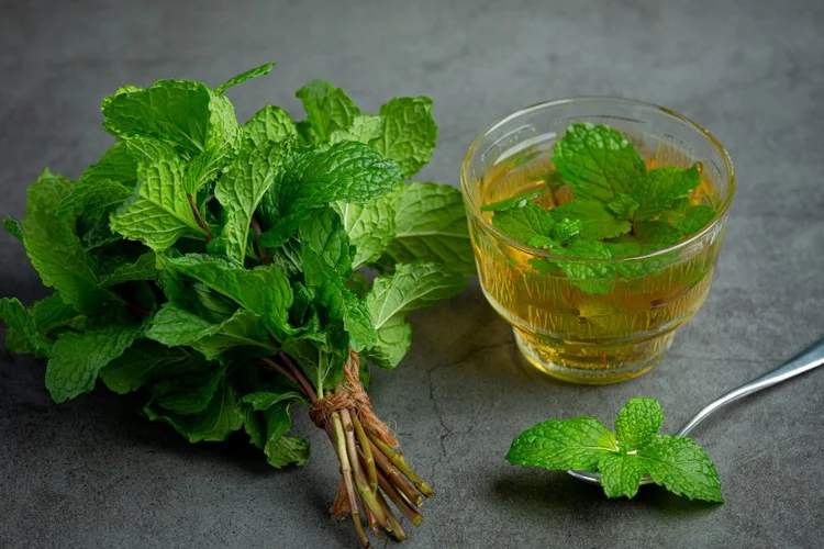 Achieving Gut Balance: 10 Best Foods To Cleanse Gut — Nutrition with ...