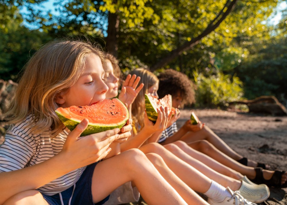 A Beginner Guide To Healthy Eating While Camping (10 Tips) — Nutrition ...