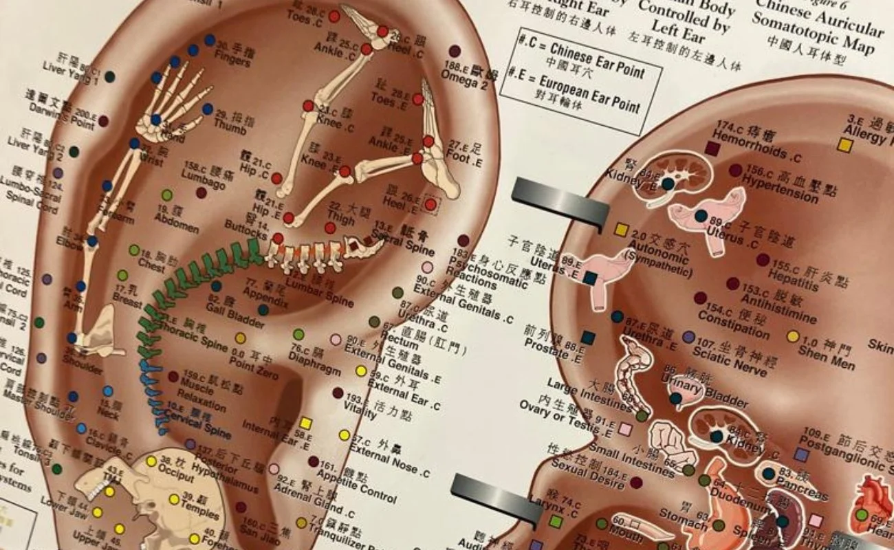 Auricular Acupuncture Benefits: What is the NADA Protocol?