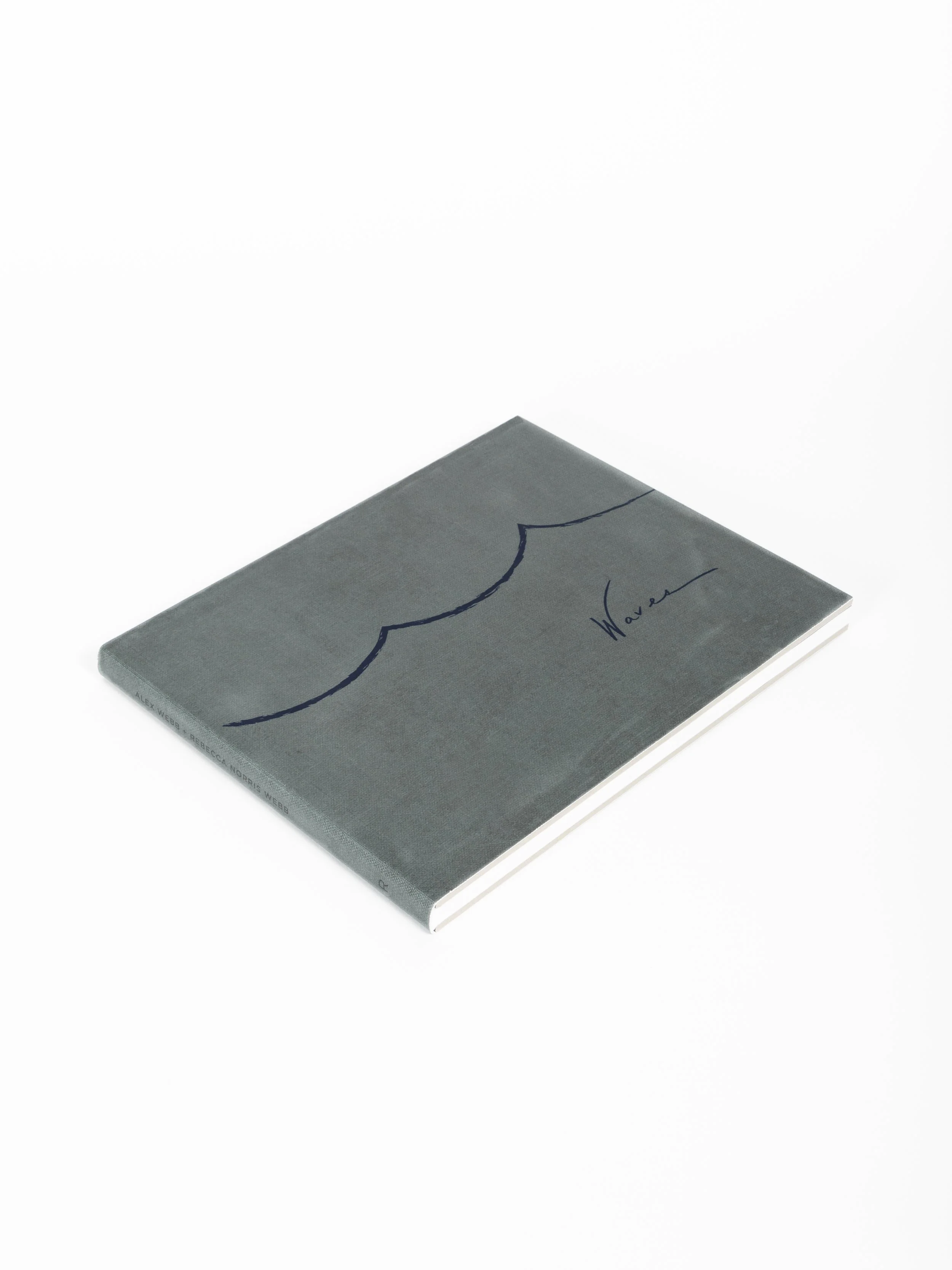 Alex Webb and Rebecca Norris Webb: Waves — Radius Books