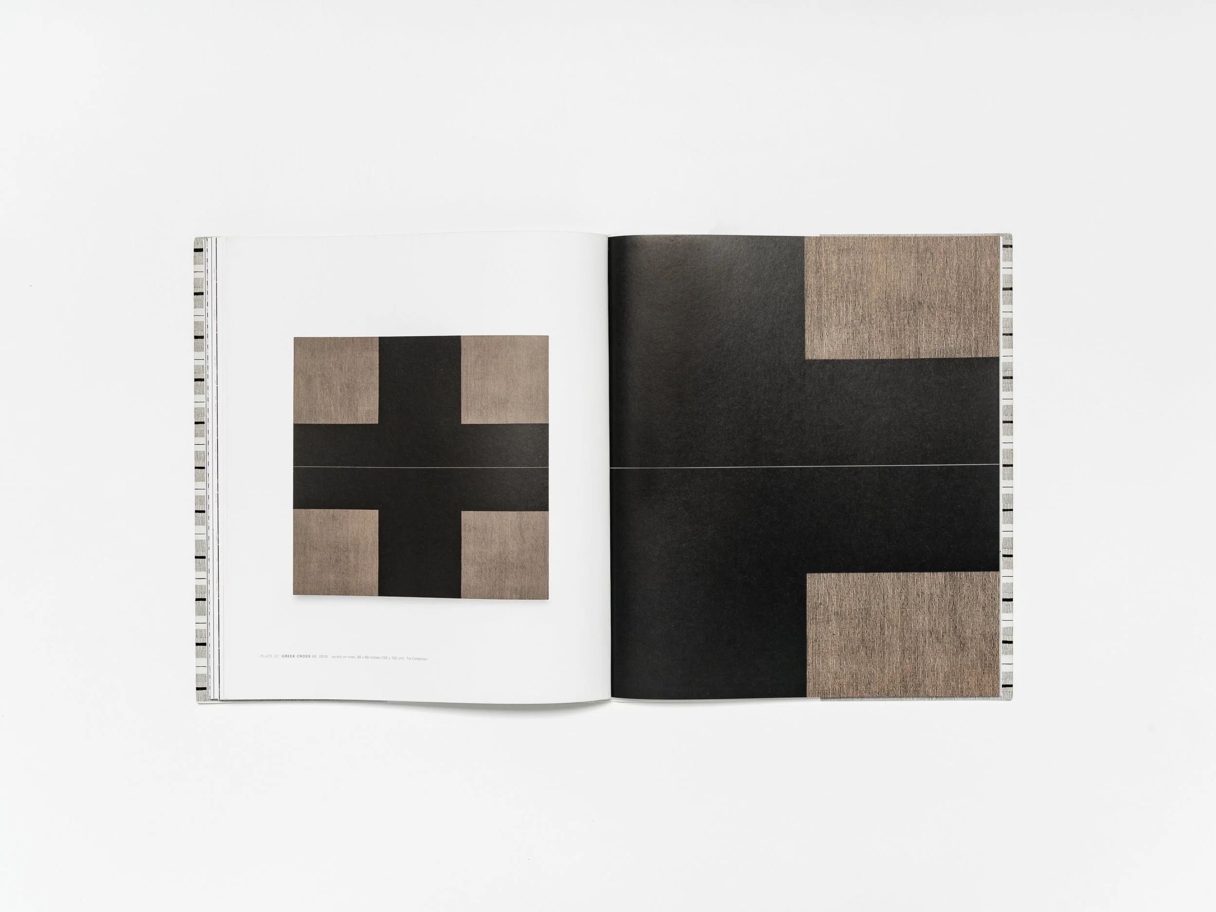 Max Cole: Endless Journey — Radius Books