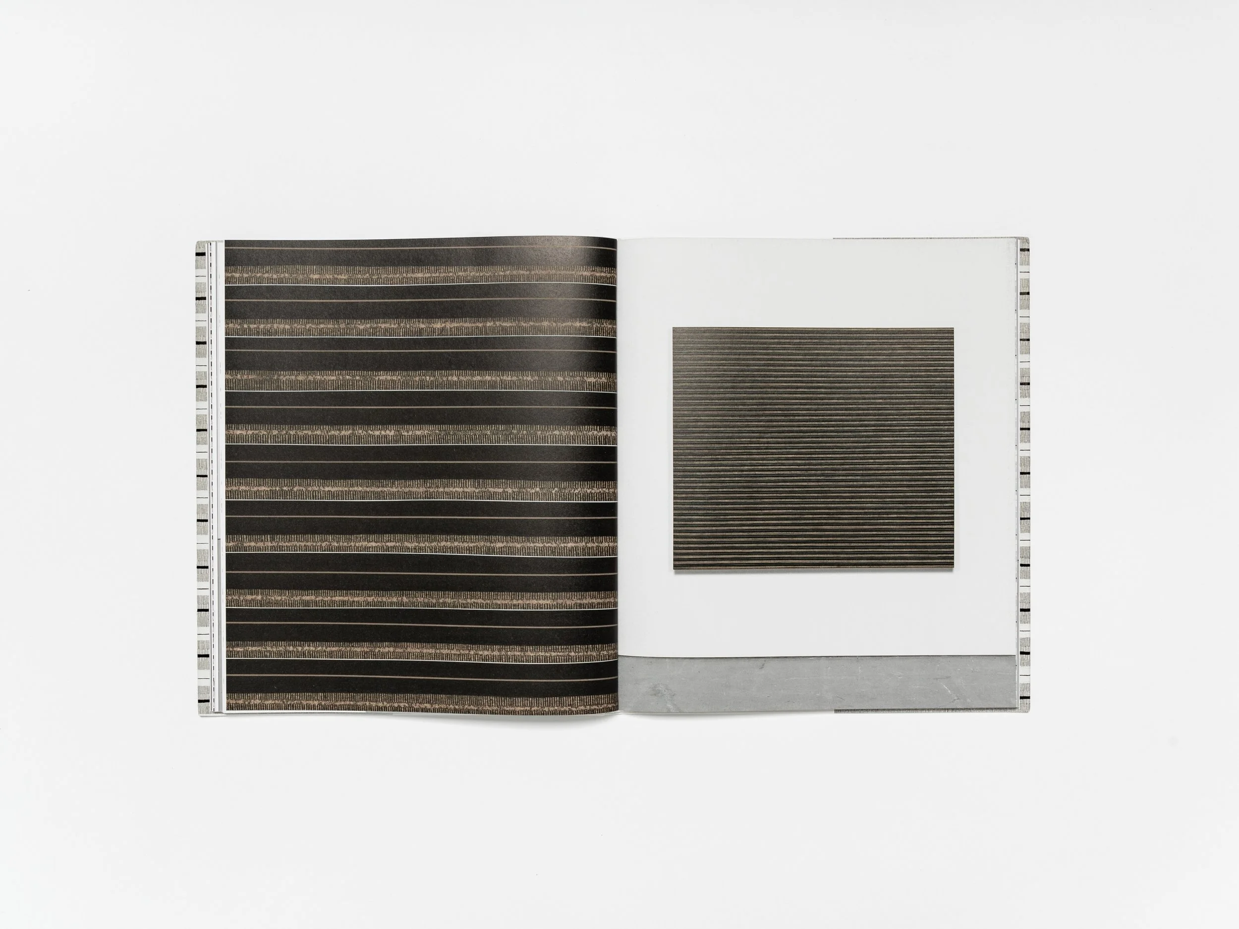 Max Cole: Endless Journey — Radius Books