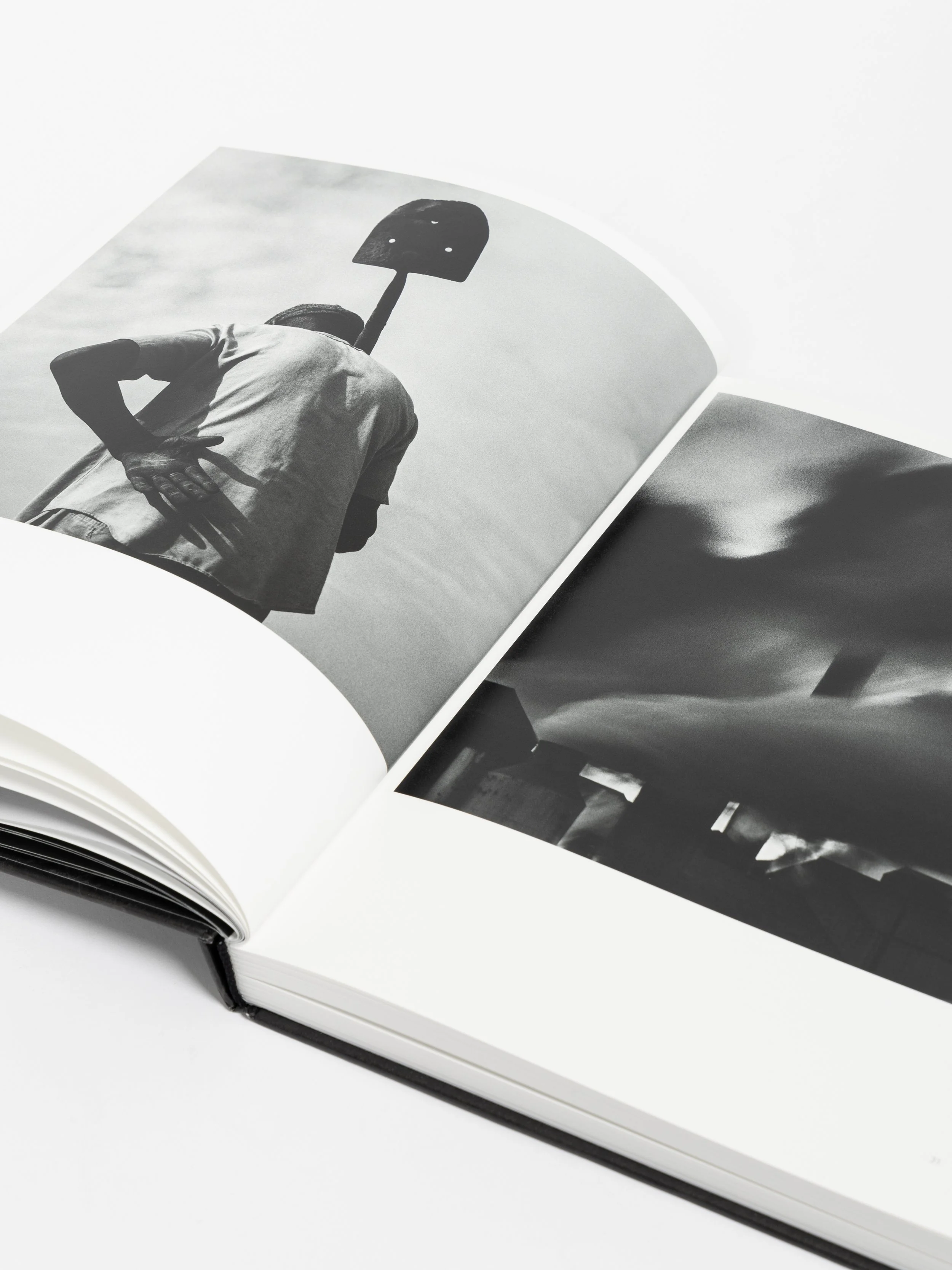 Debbie Fleming Caffery: In Light of Everything — Radius Books