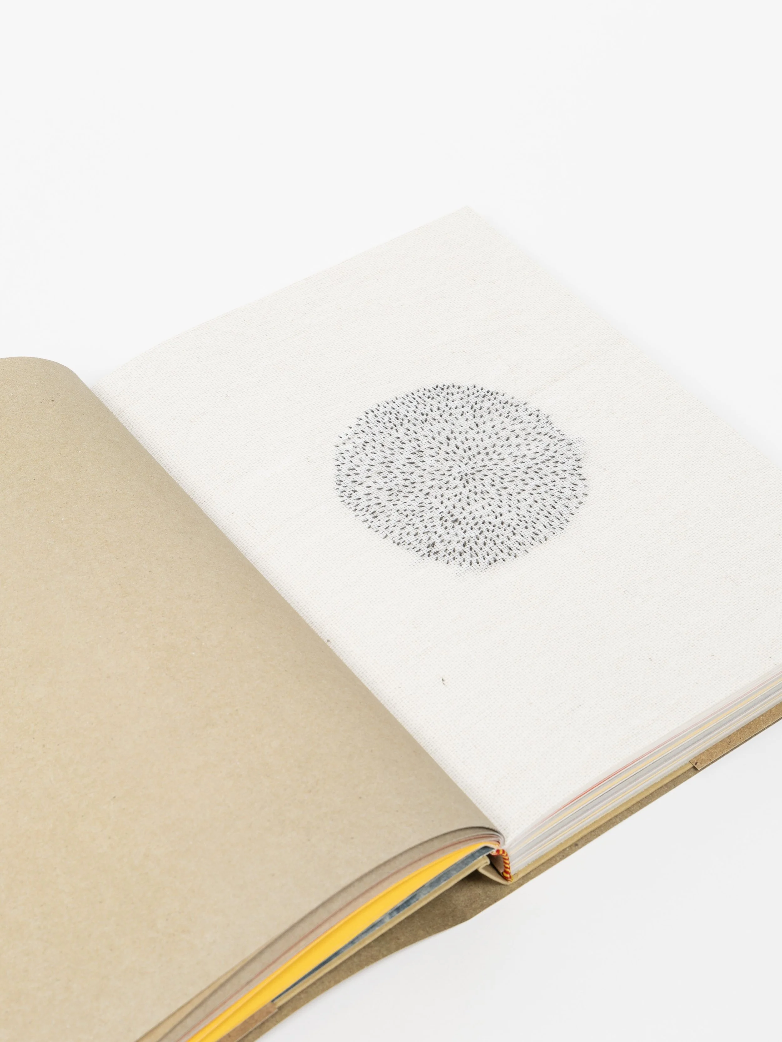 Cecilia Vicuña: Deer Book/Libro Venado — Radius Books