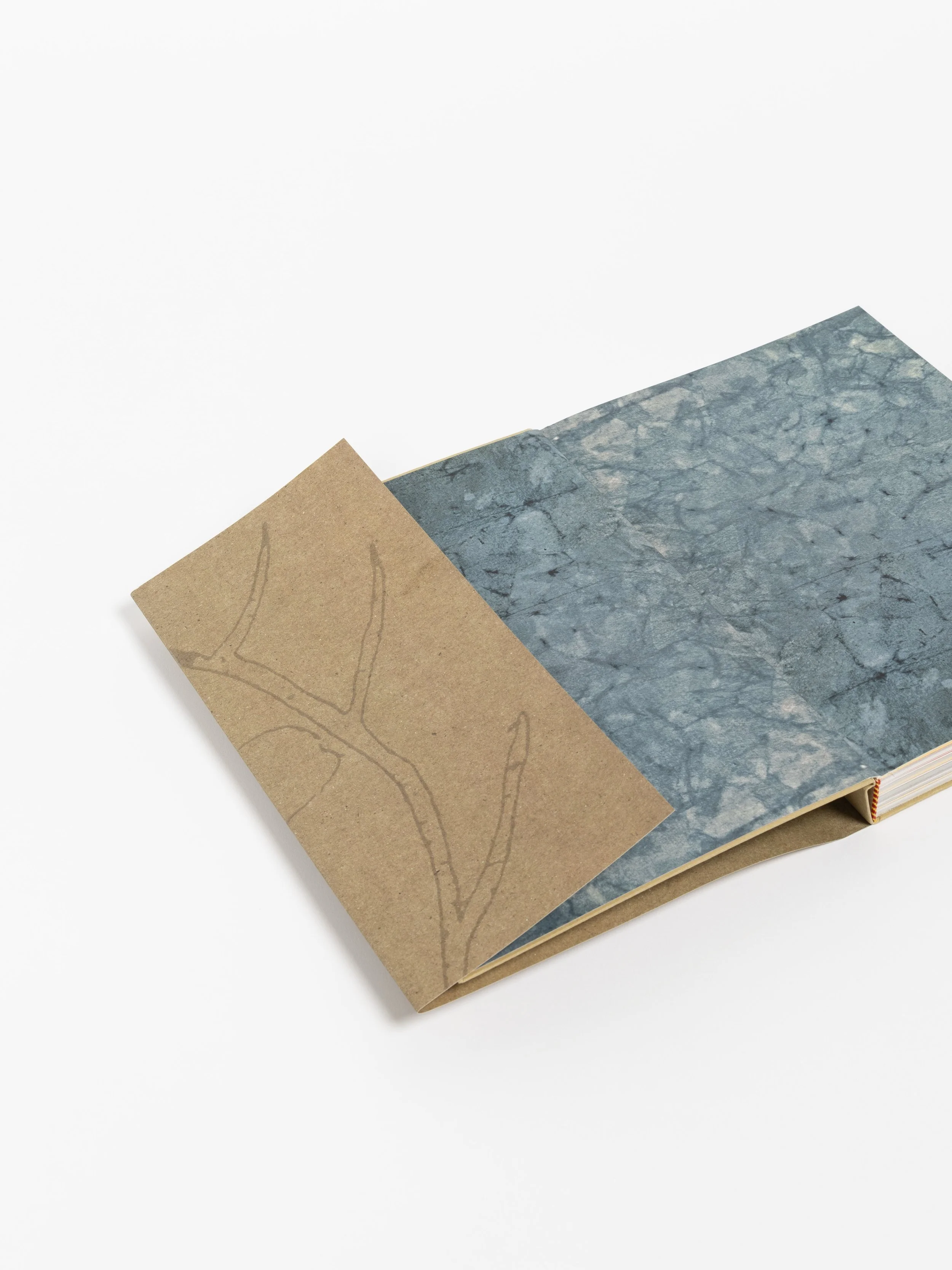 Cecilia Vicuña: Deer Book/Libro Venado — Radius Books