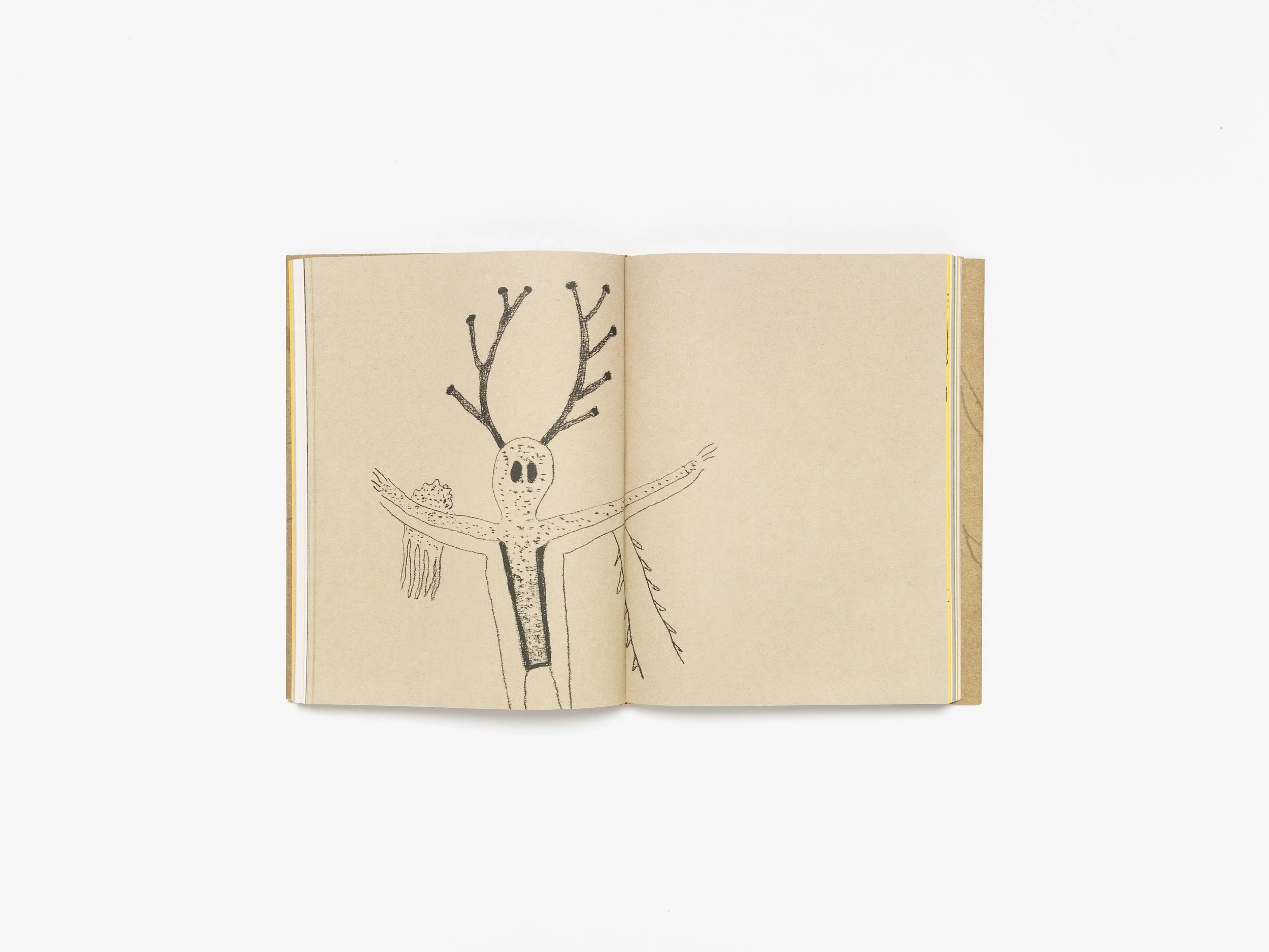 Cecilia Vicuña: Deer Book/Libro Venado — Radius Books