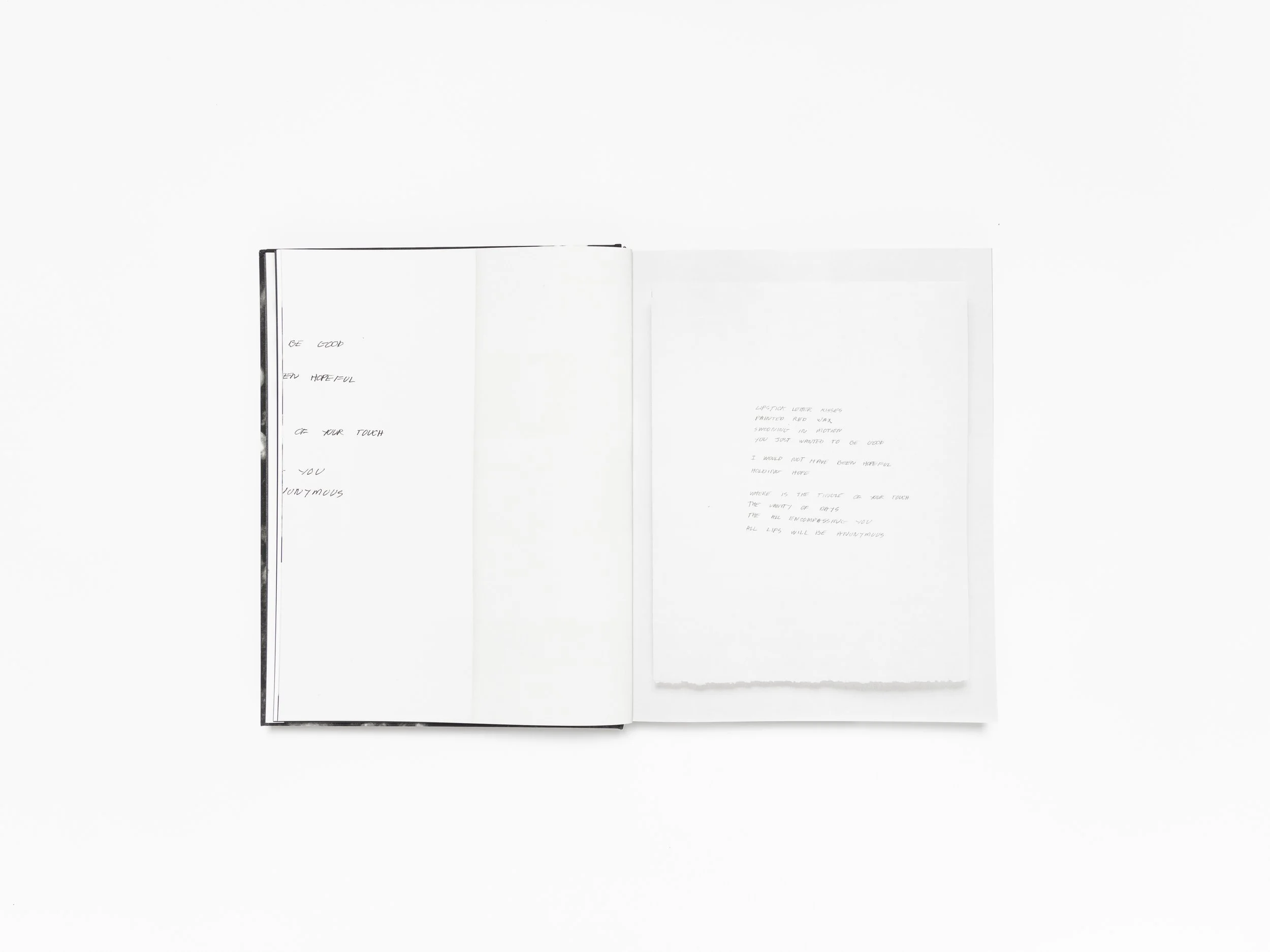 James Drake: Tongue-Cut Sparrows — Radius Books