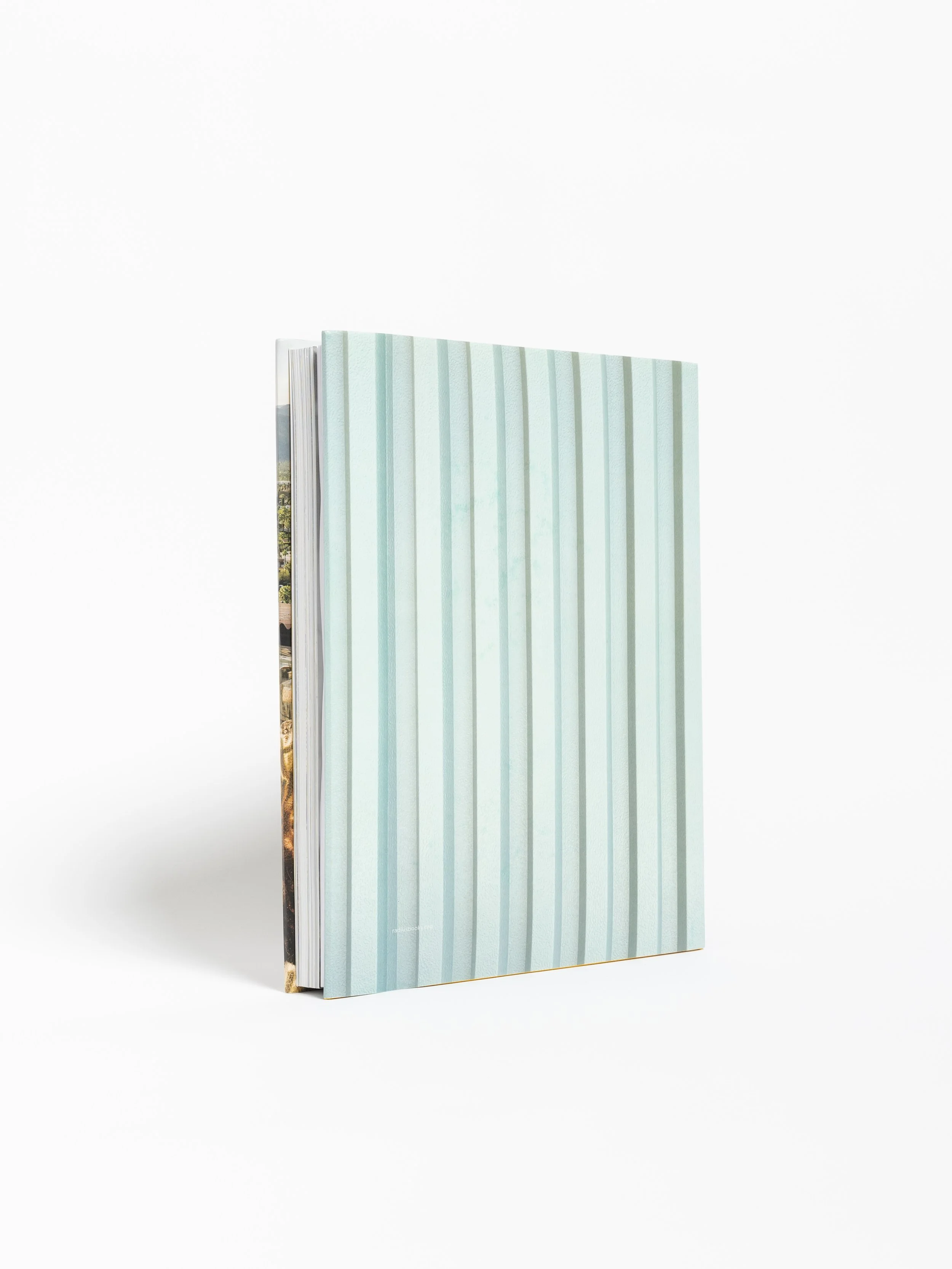 Albert Frey: Inventive Modernist — Radius Books