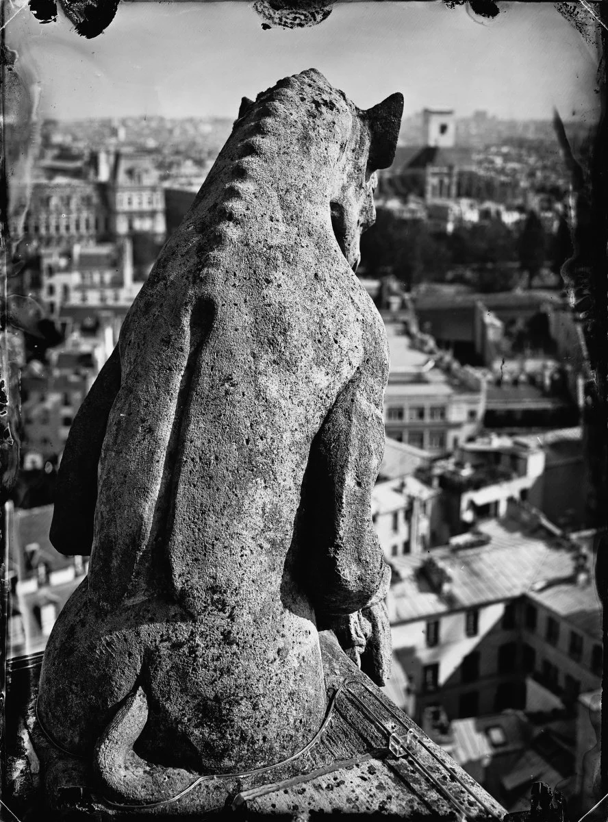 Tomas van Houtryve: 36 Views of Notre Dame — Radius Books