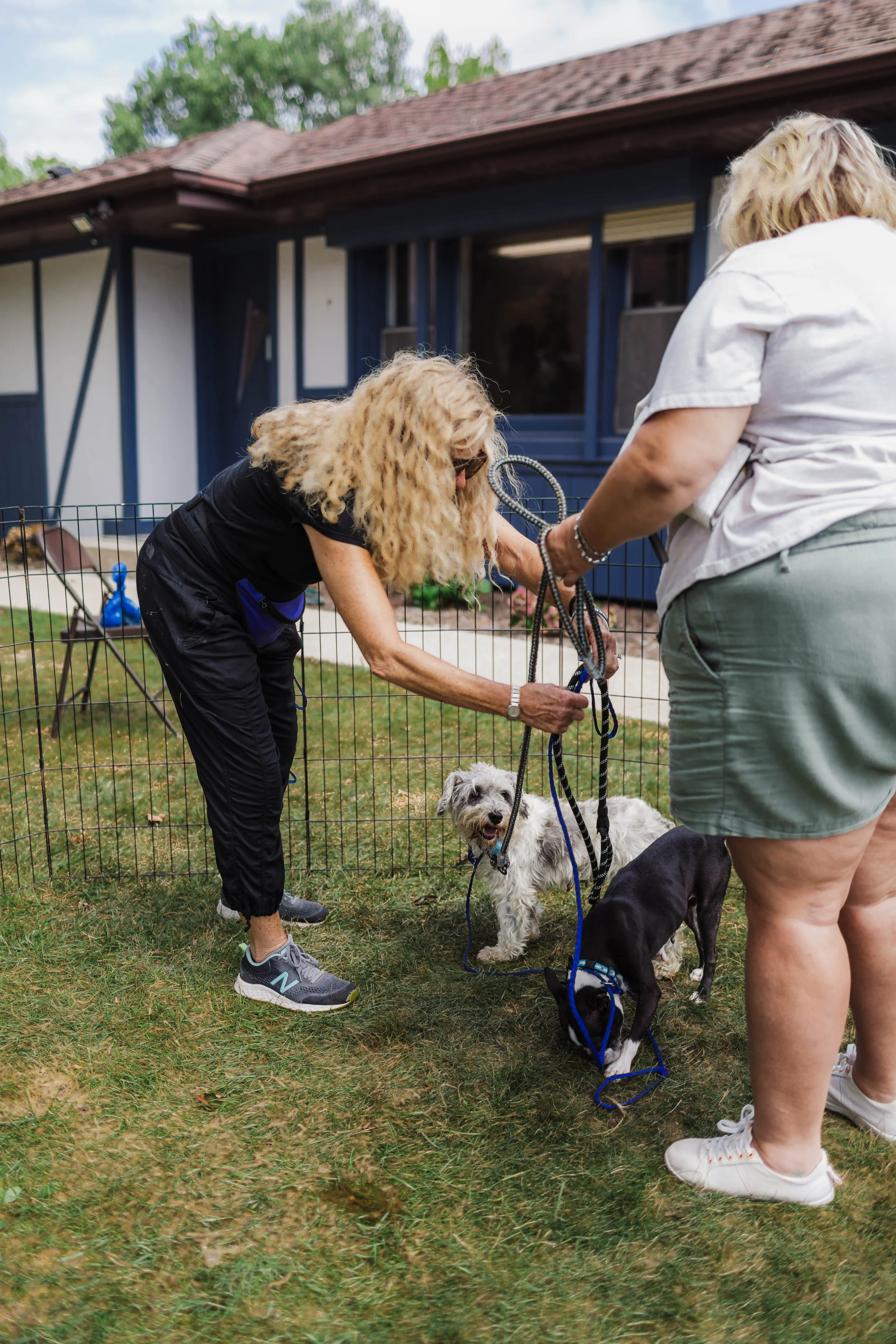 Events — Border Tails Rescue
