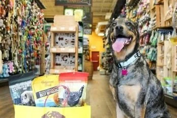 Events — Border Tails Rescue