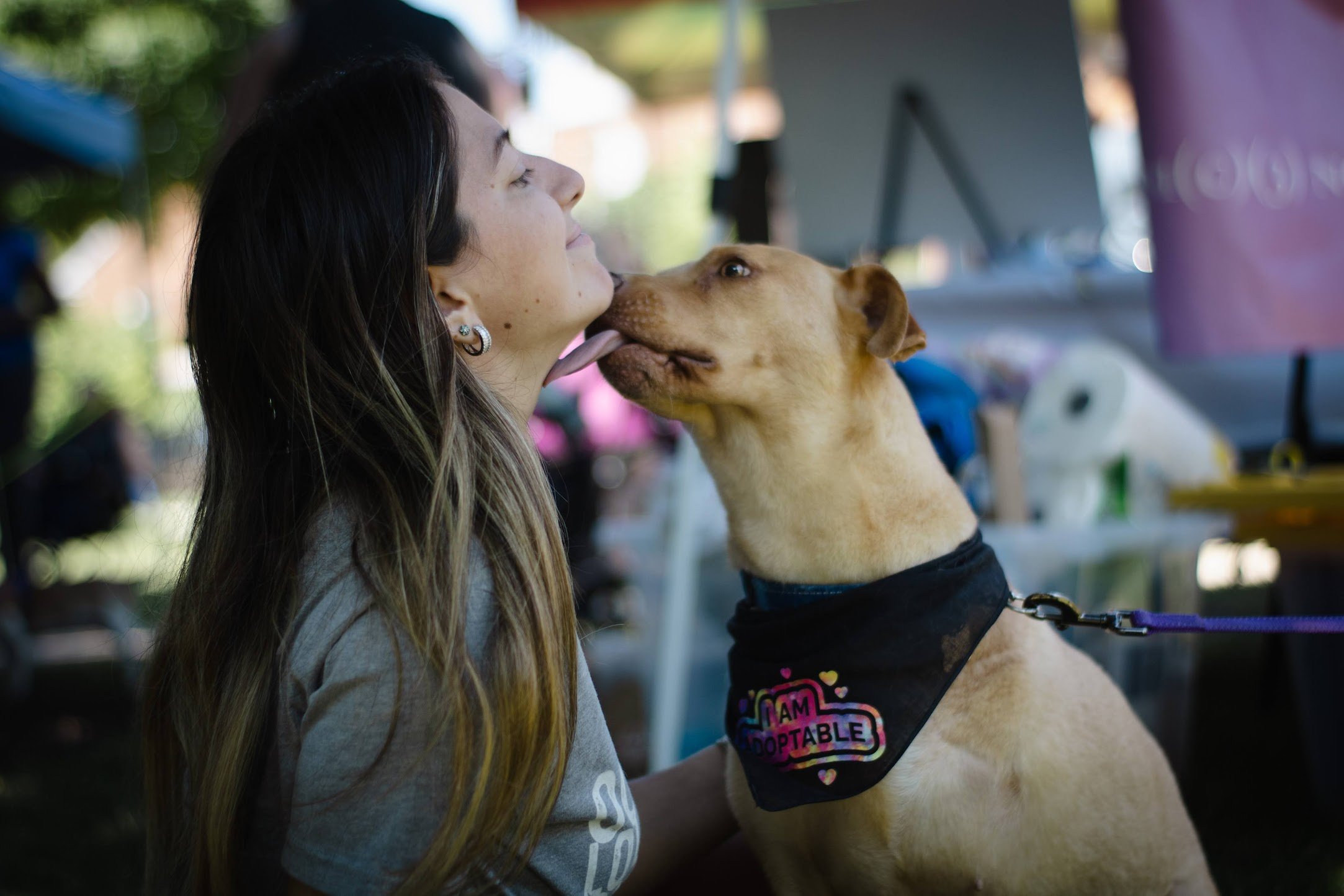 Our Founder — Border Tails Rescue