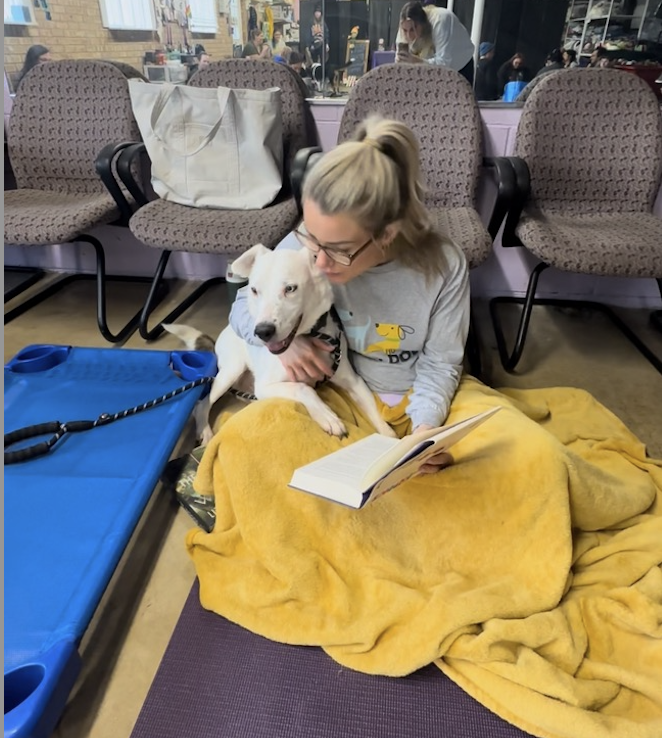 Events — Border Tails Rescue