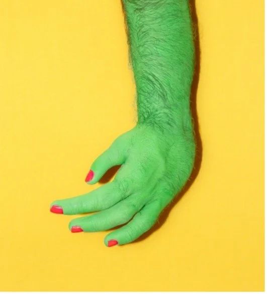 Where Are They Now? - Gasparilla Festival of the Arts