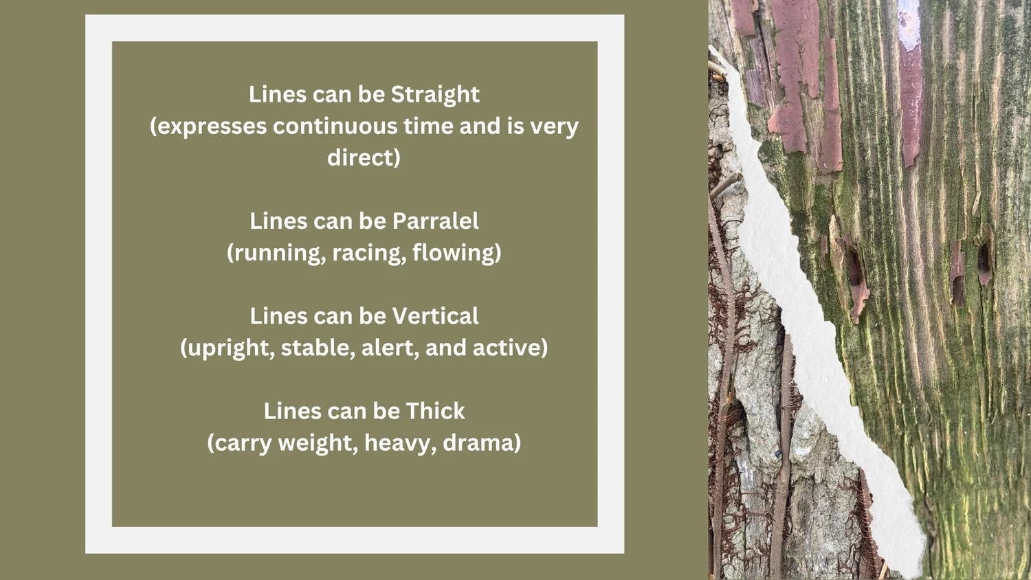 How To Use Lines from Nature in Your Artwork — Sharon L. Ciccone Art