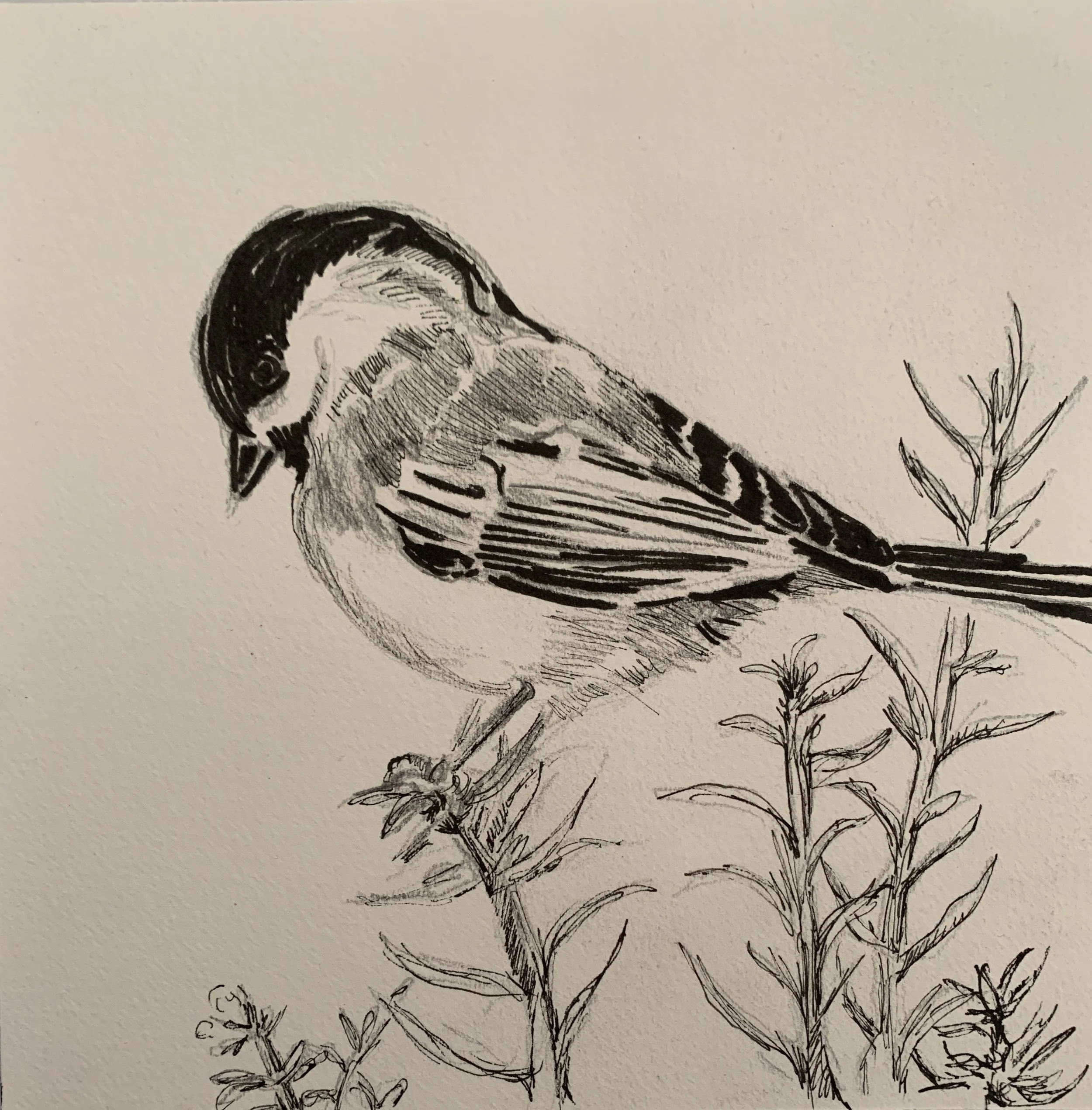 Five ideas for creating an artwork using control or release. — Sharon L ...