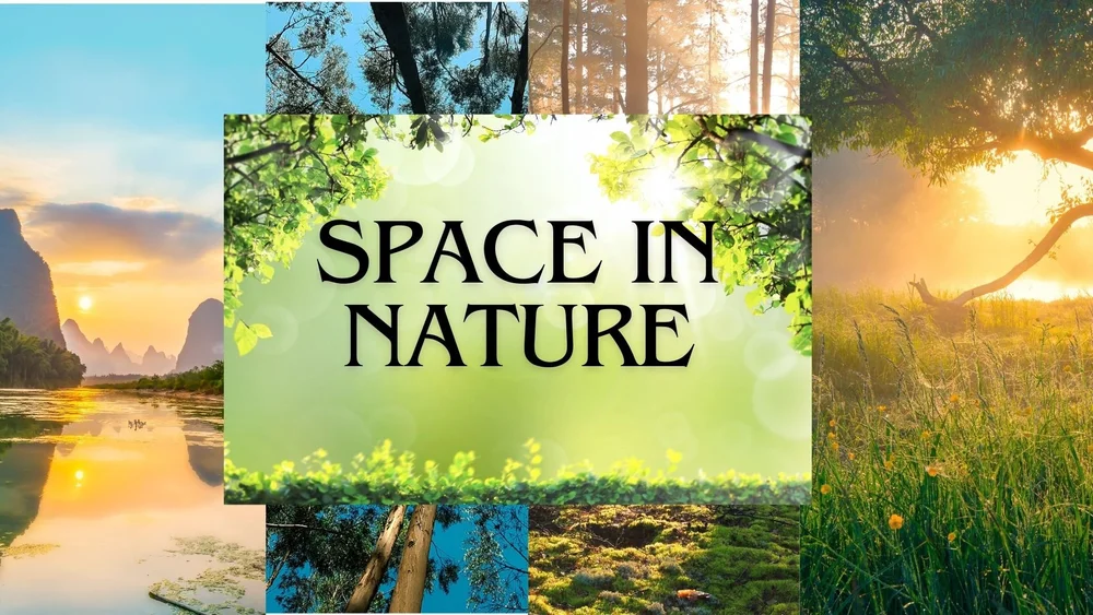 How to Use Spaces from Nature as Inspiration for creating Space in a ...