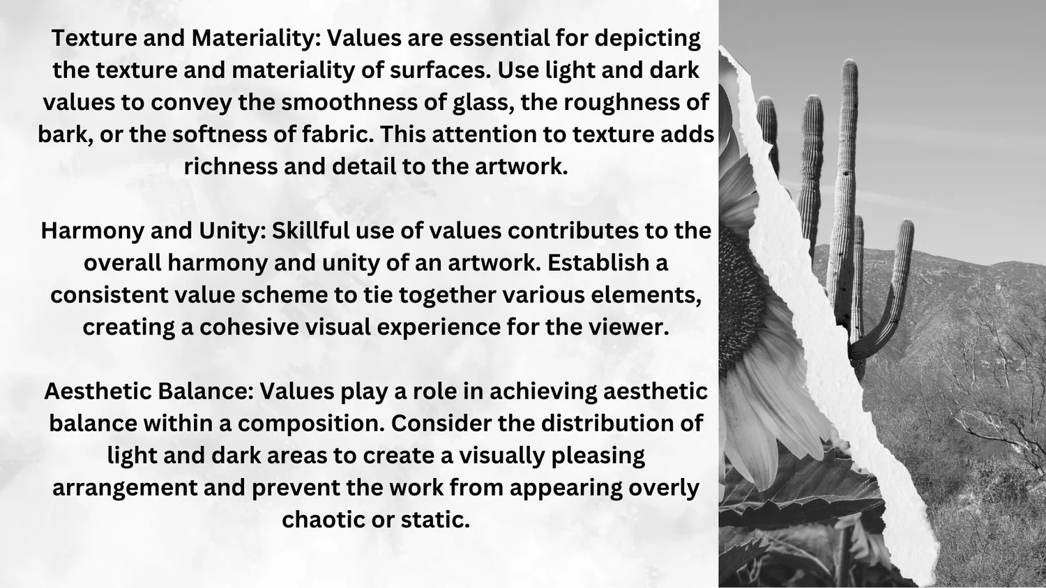 Using Value from Nature in Your Artwork — Sharon L. Ciccone Art