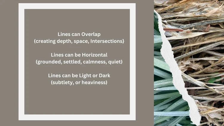 How To Use Lines from Nature in Your Artwork — Sharon L. Ciccone Art
