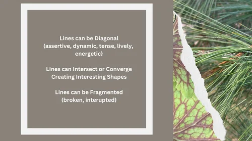 How To Use Lines from Nature in Your Artwork — Sharon L. Ciccone Art