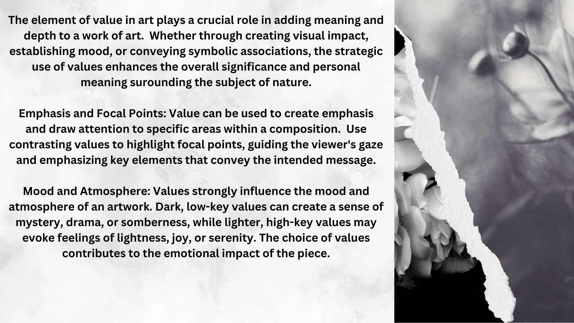 Using Value from Nature in Your Artwork — Sharon L. Ciccone Art
