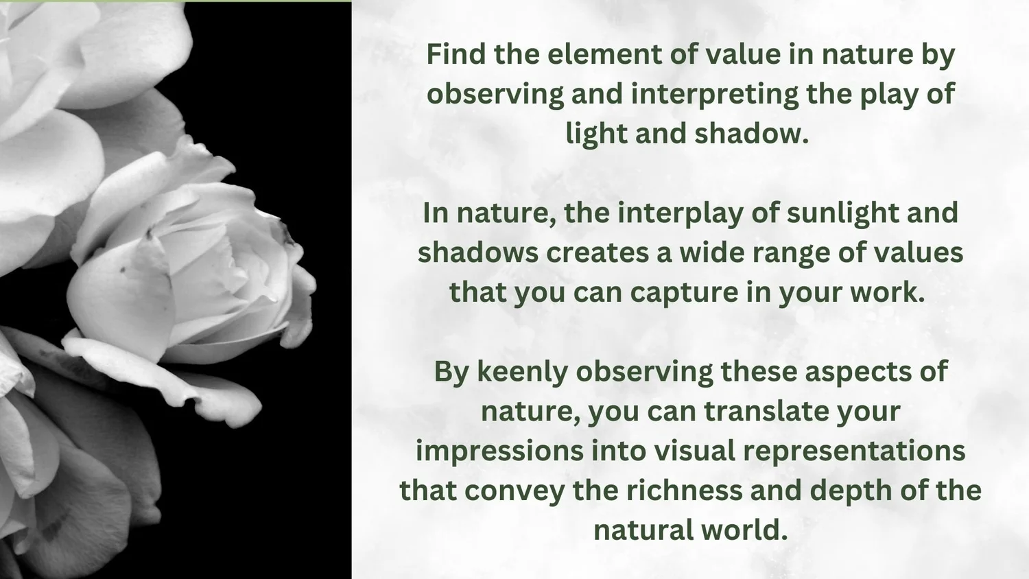 Using Value from Nature in Your Artwork — Sharon L. Ciccone Art