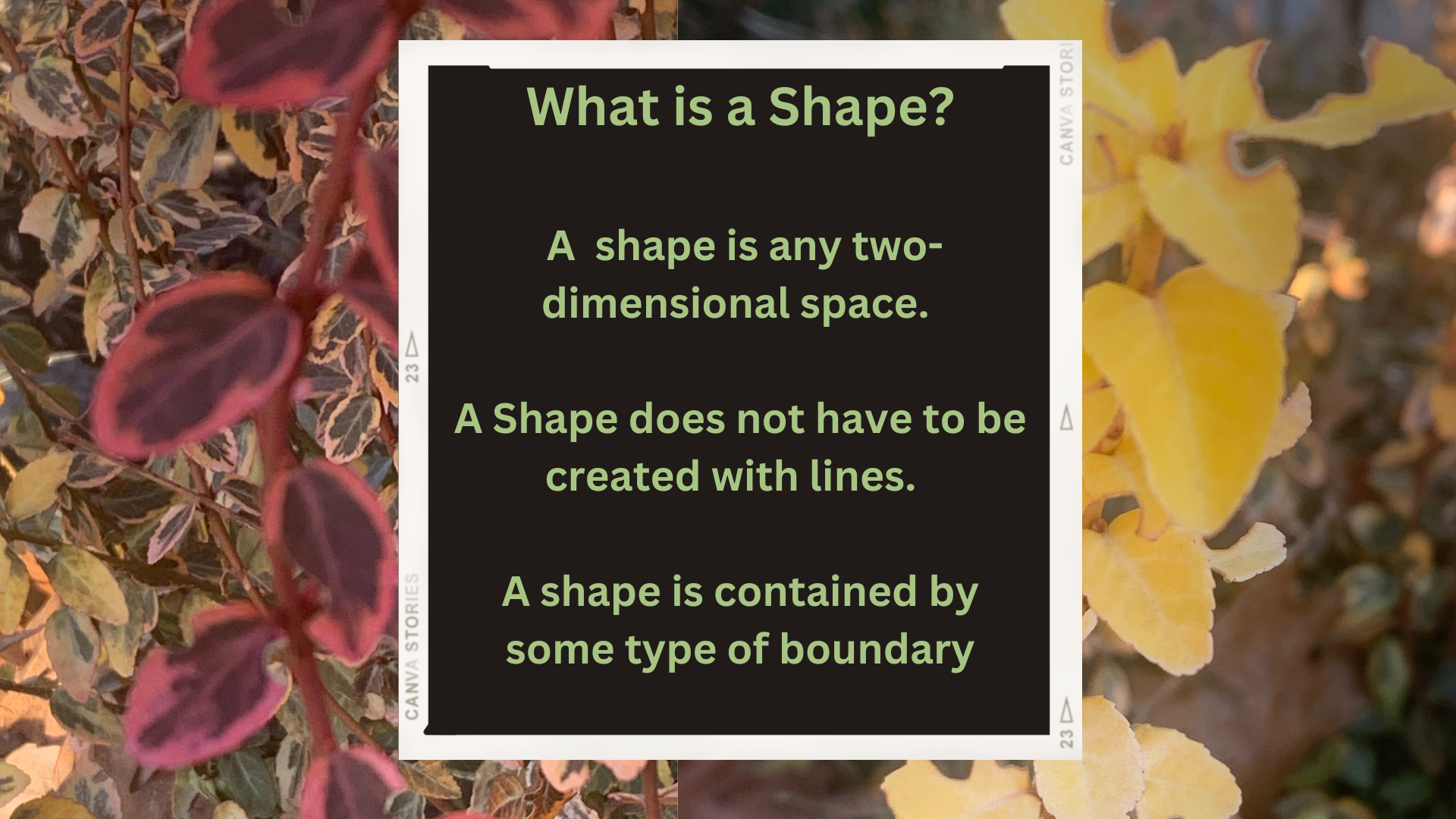 Using Shapes from Nature in Your Artwork — Sharon L. Ciccone Art
