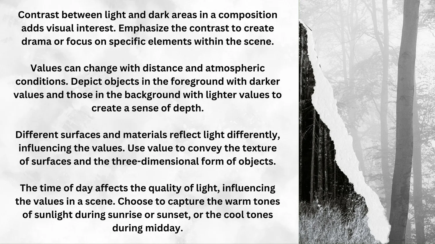 Using Value from Nature in Your Artwork — Sharon L. Ciccone Art