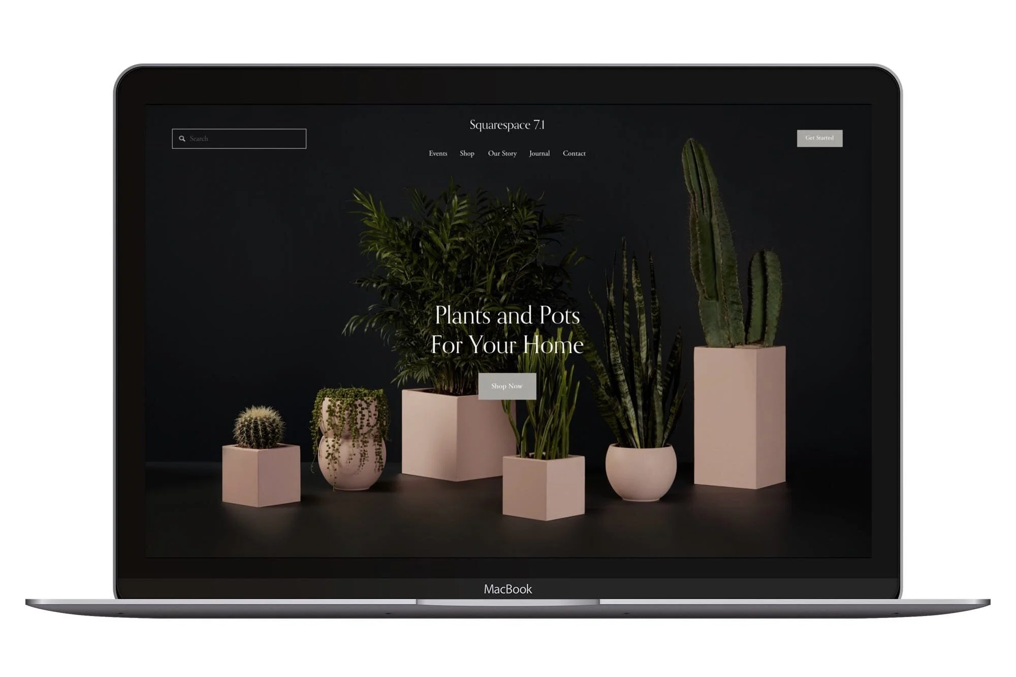 Rebecca Grace Designs | Squarespace Coding Expert and Coach