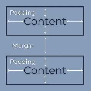 Margin vs Padding: Remove spacing from anywhere in Squarespace | Rebecca Grace