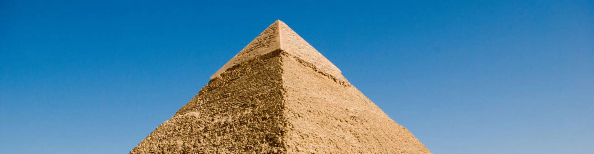 Store 1 — Recall Healing