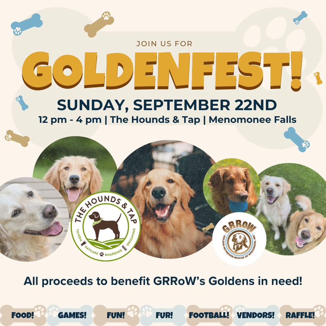 Events — Golden Retriever Rescue of Wisconsin