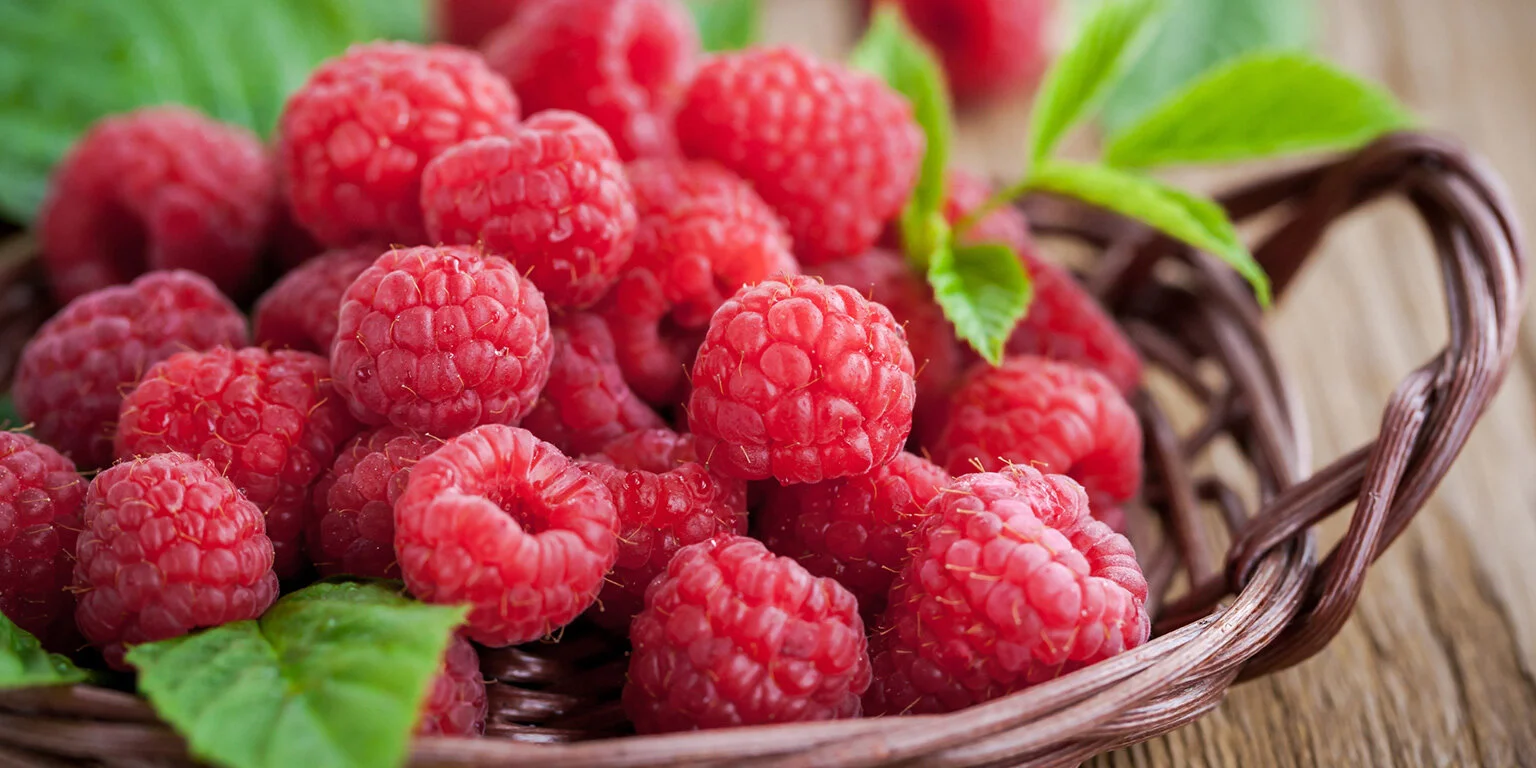 Full Plate Living | Start Your Health Journey Today — Ardmore Institute of Health