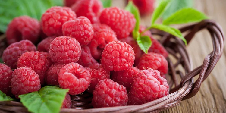 Full Plate Living — Ardmore Institute of Health