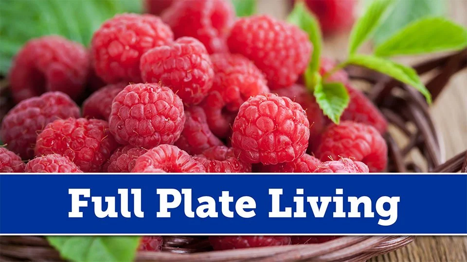 Ardmore Institute of Health