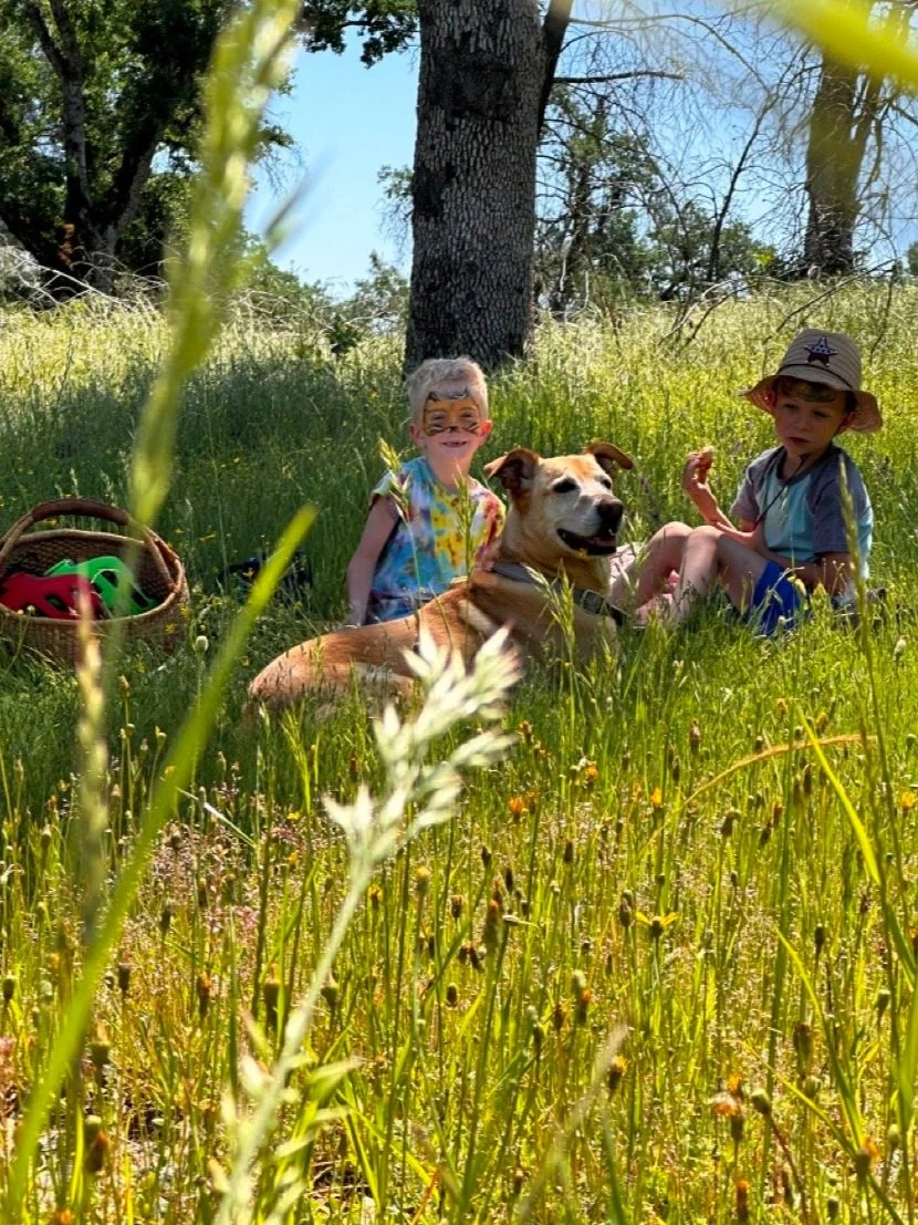 Trail Mixer — Redding Trail Alliance