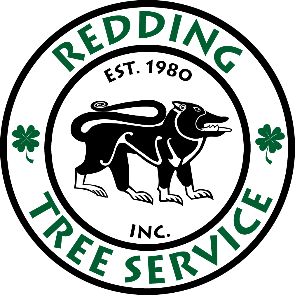 Adopt-A-Trail — Redding Trail Alliance