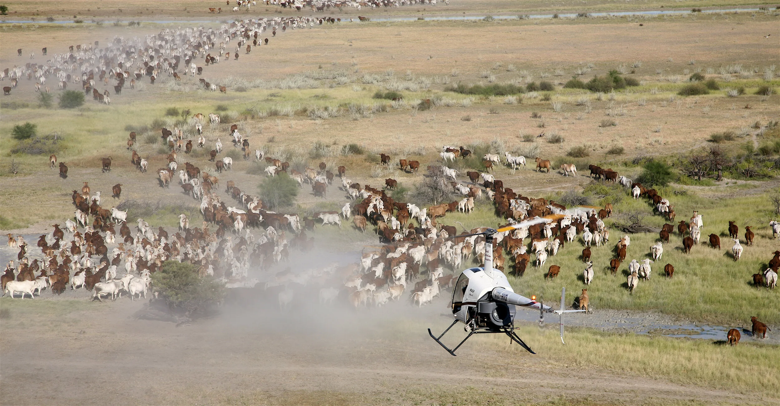 Mustering — AIR T&G HELICOPTERS