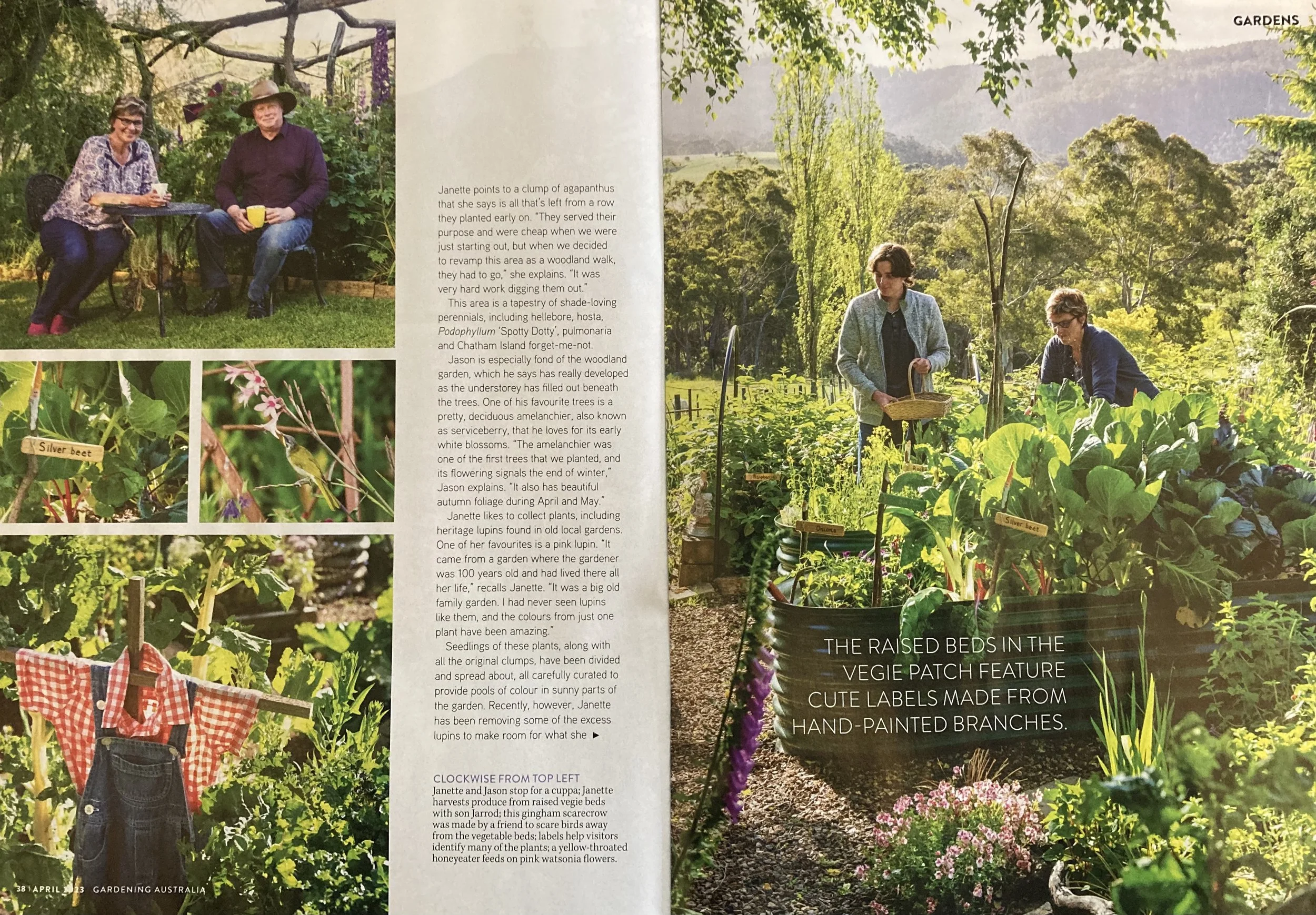 Good Gardening Ways All Articles On How To Improve Your Garden